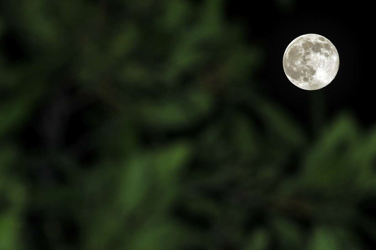 Clear skies expected for 'supermoon' Saturday