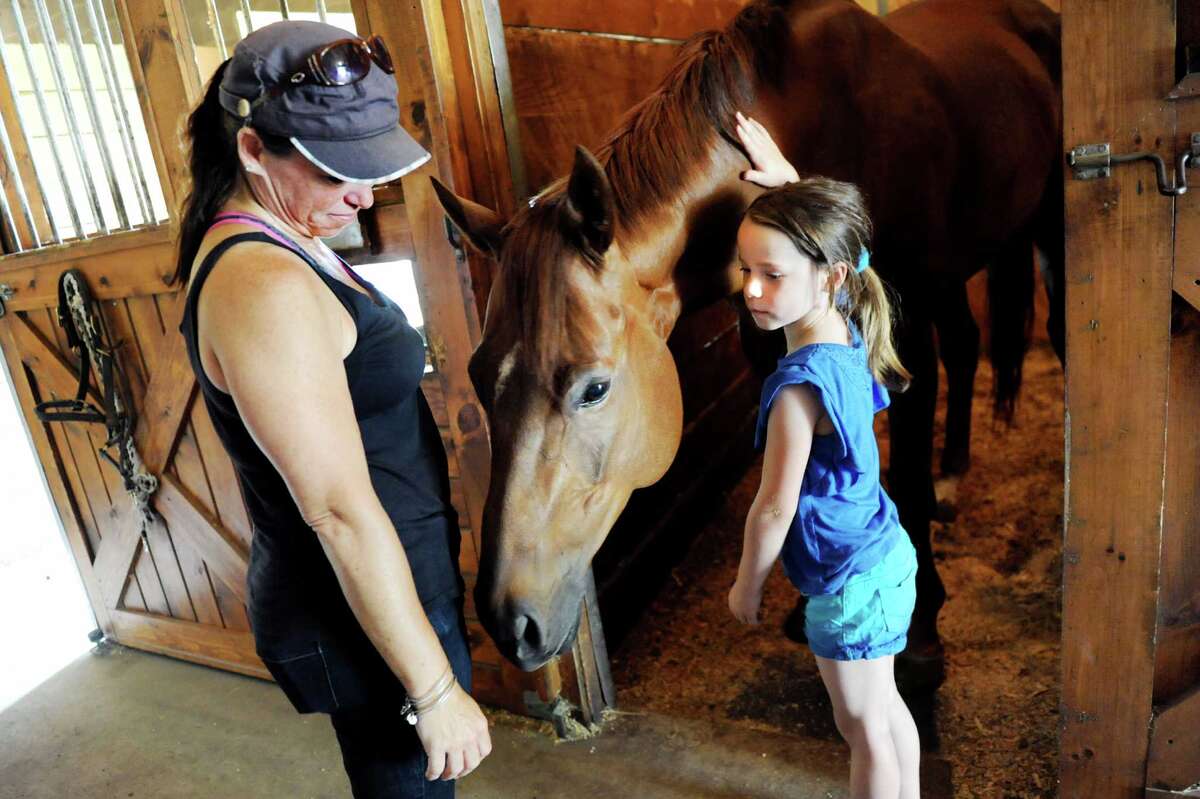 Photos: Horse Farm Tours
