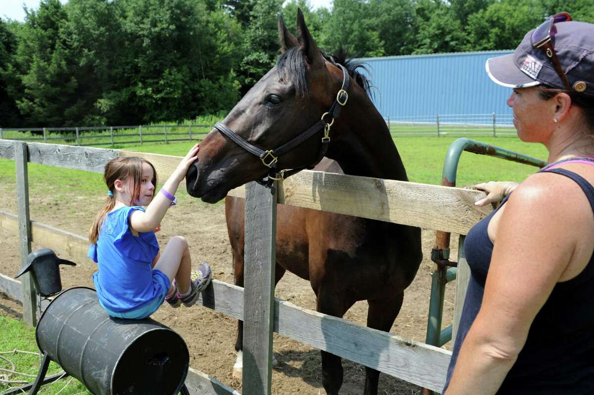 Photos: Horse Farm Tours