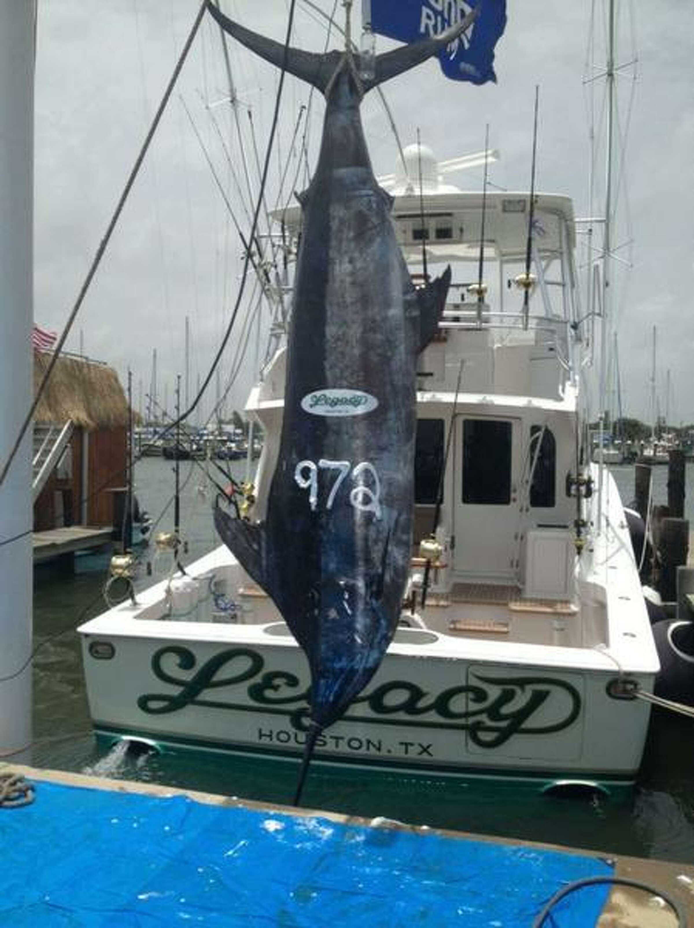 Massive blue marlin breaks Texas record by nearly 100 pounds