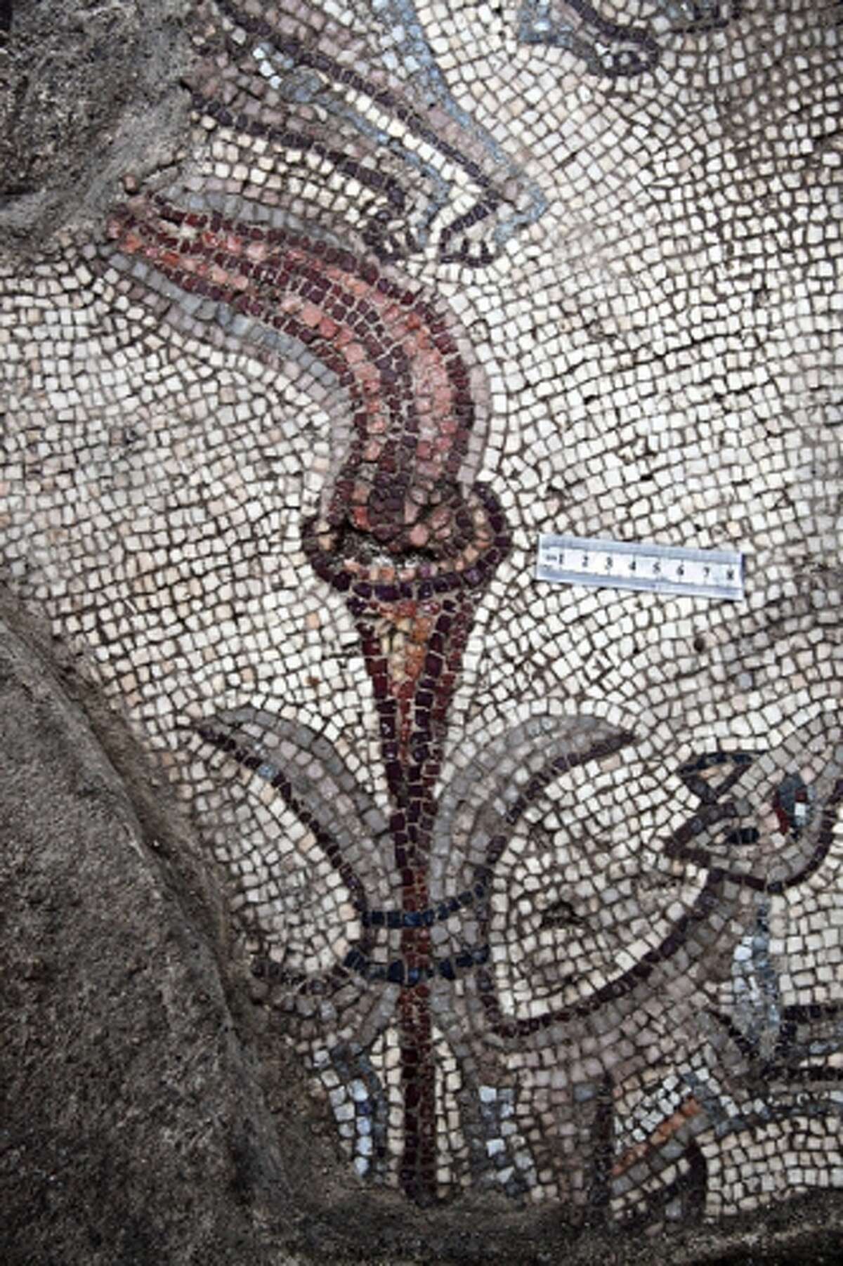 Texas archaeologists behind discovery of mystery mosaic in Israel