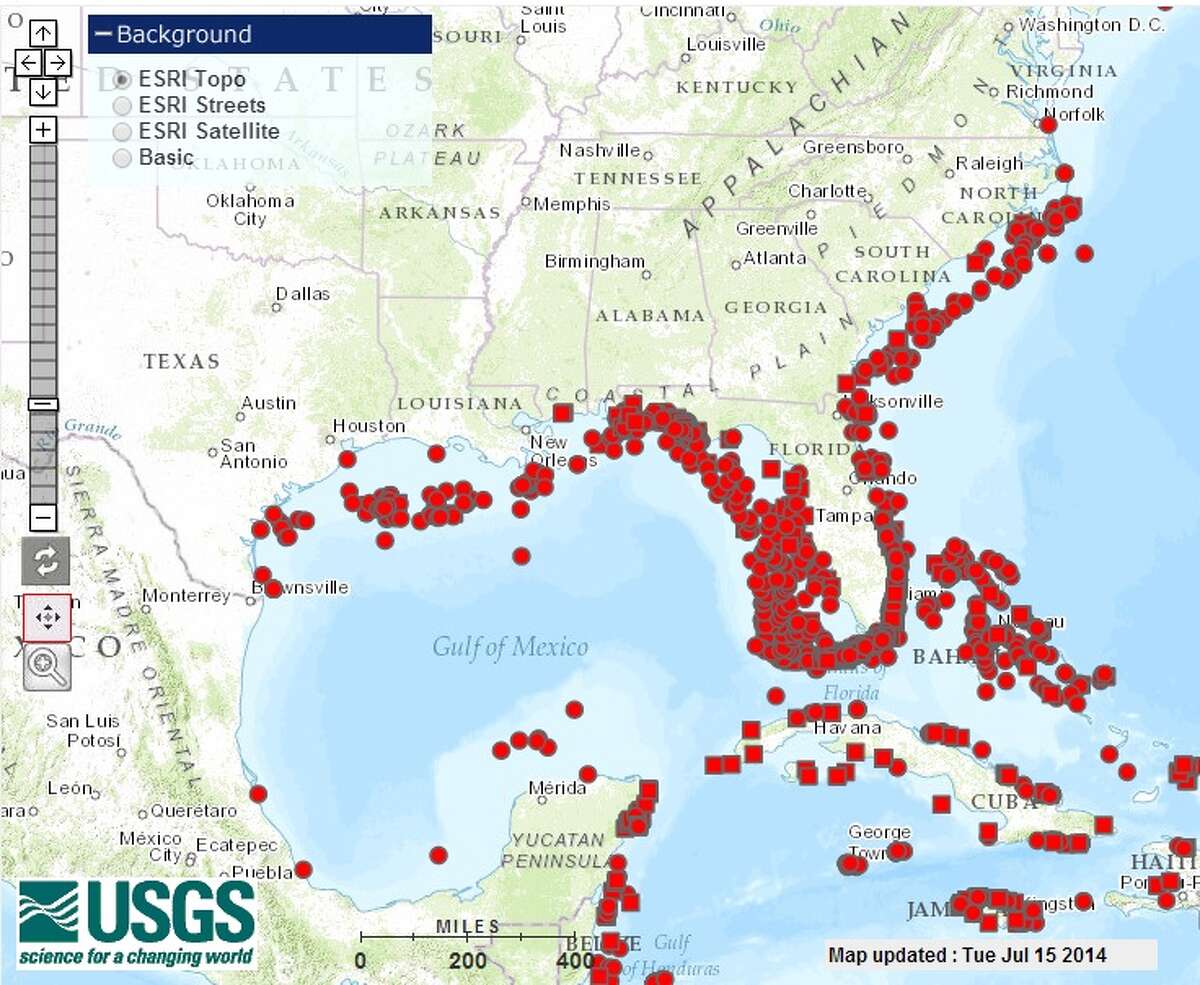 Species new to the Texas Gulf is the 'feral hog' of the ocean