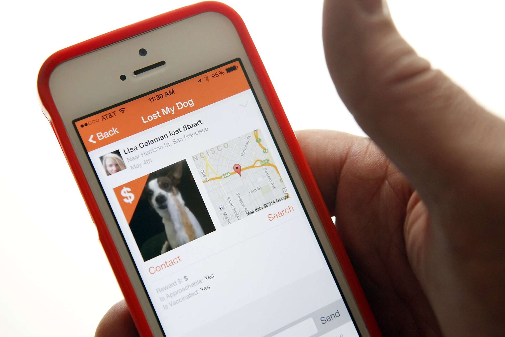 New photo app aims to reunite owners, lost dogs