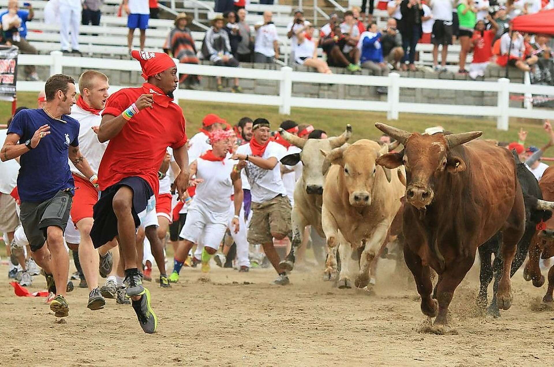 Pamplona? Nope, bull run coming to Pleasanton