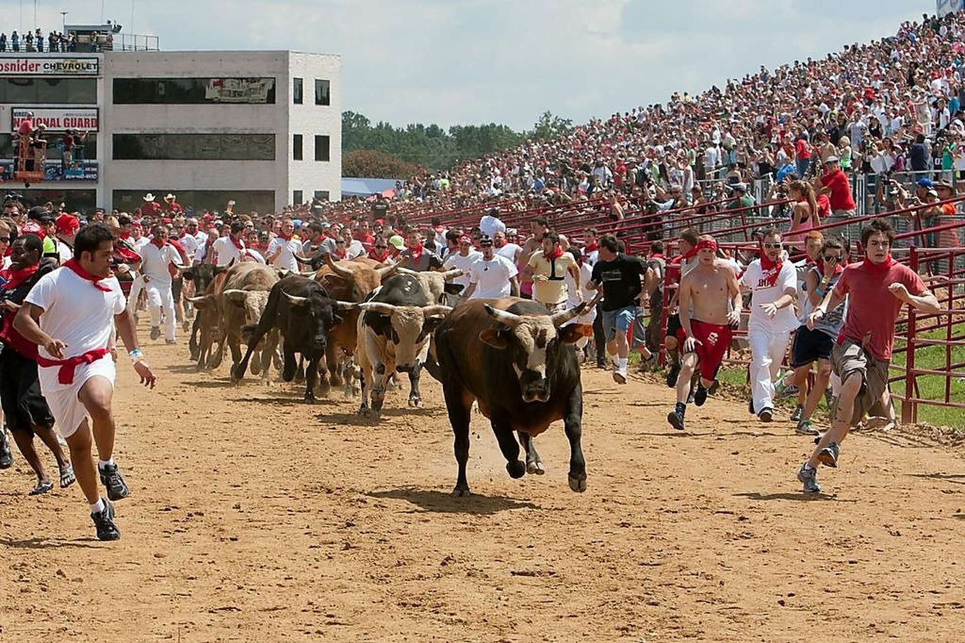 Pamplona? Nope, bull run coming to Pleasanton