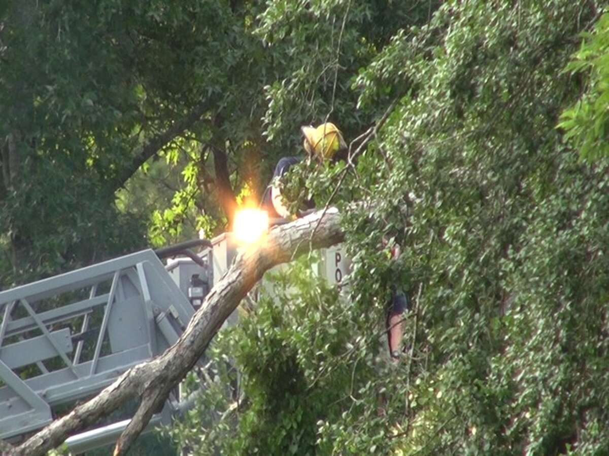 Trapped tree trimmer ends up losing his leg