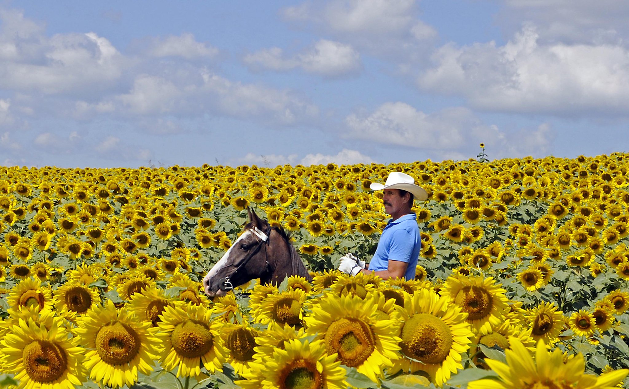 Photos Of The Day