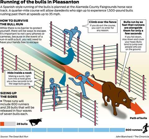 Pamplona? Nope, bull run coming to Pleasanton