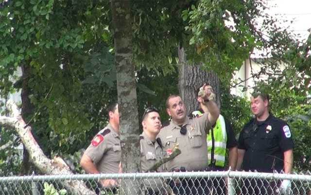 Trapped tree trimmer ends up losing his leg