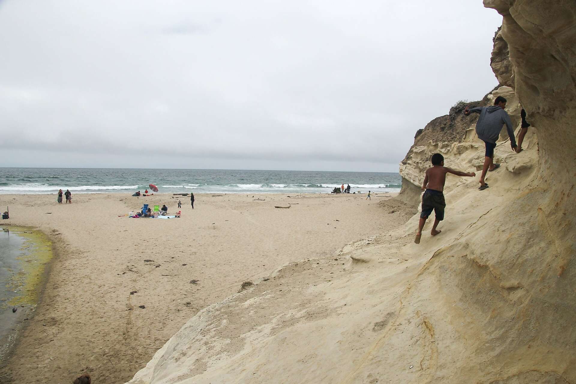 The last 100 years of shark attacks in the Bay Area mapped