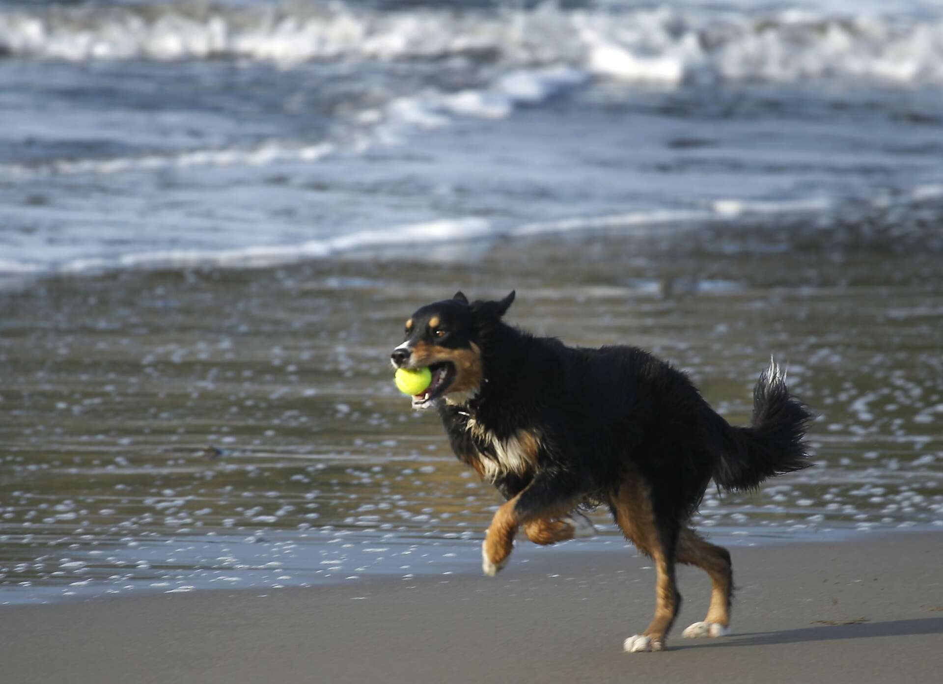Finding the best Bay Area beach for you