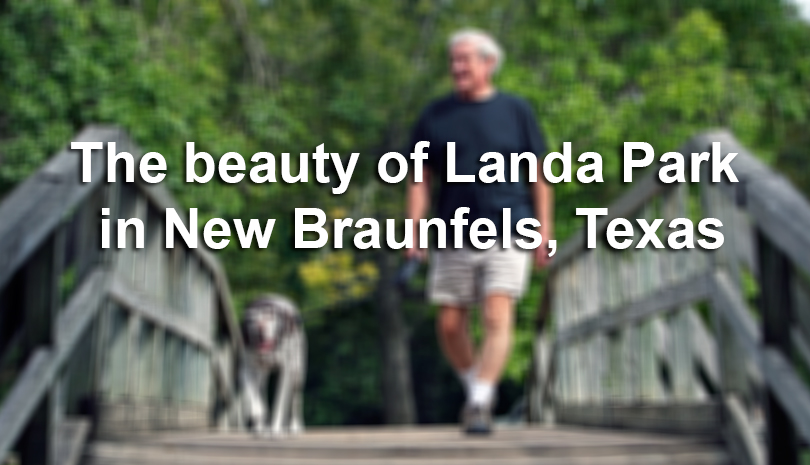 The beauty of Landa Park