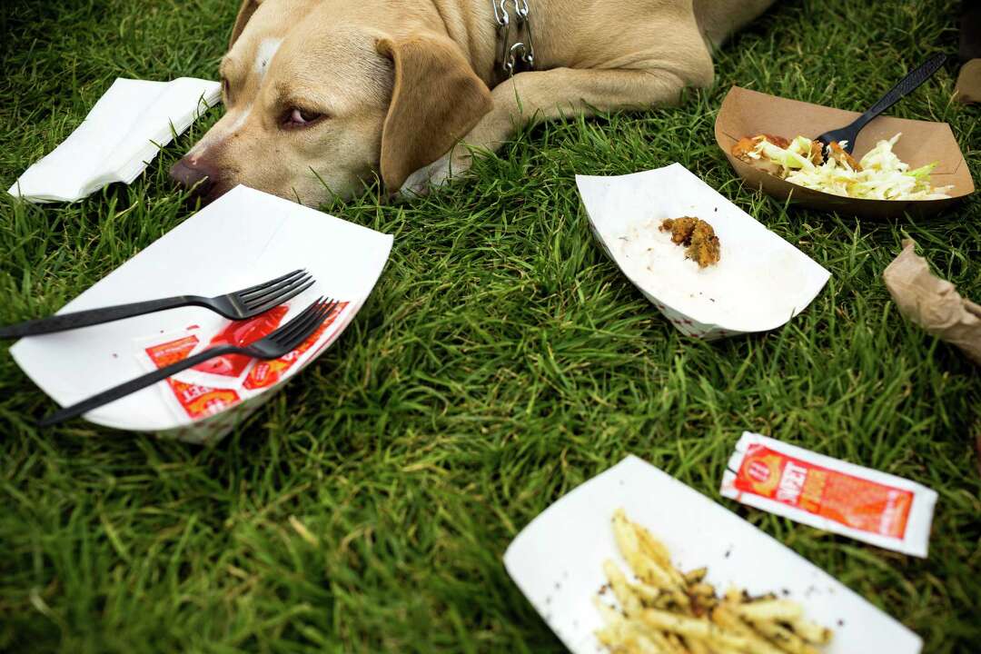 Seattle's top dog names - and assorted awesome ones