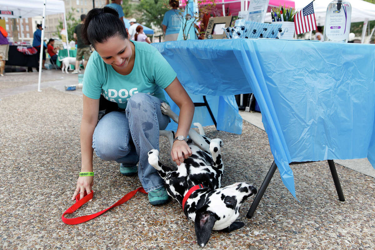 Downtown pet market helps no-kill cause