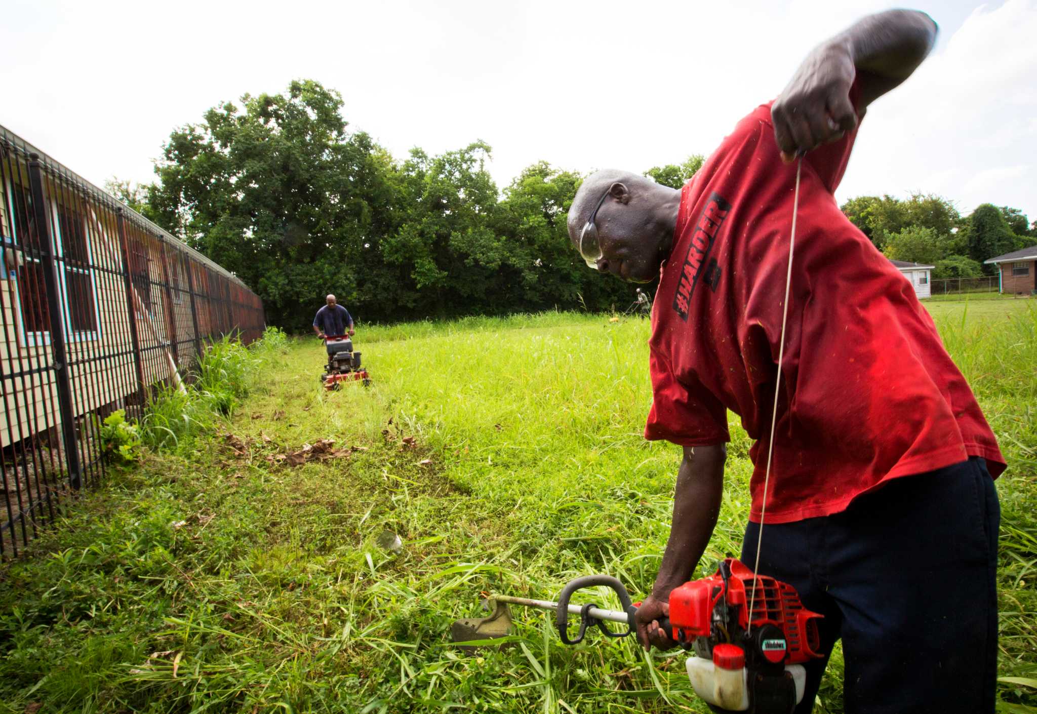 City moves to mow down blight