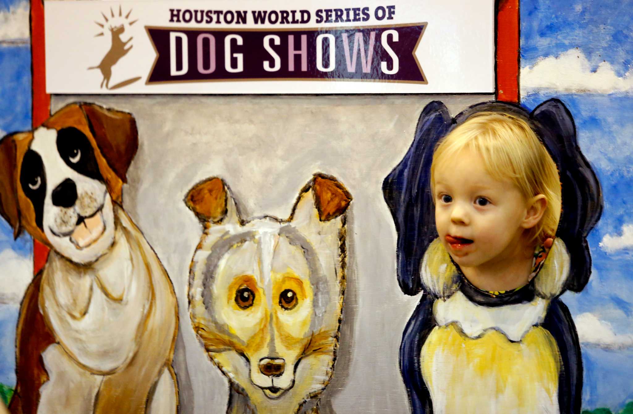 Rescue dogs take center stage at Reliant show
