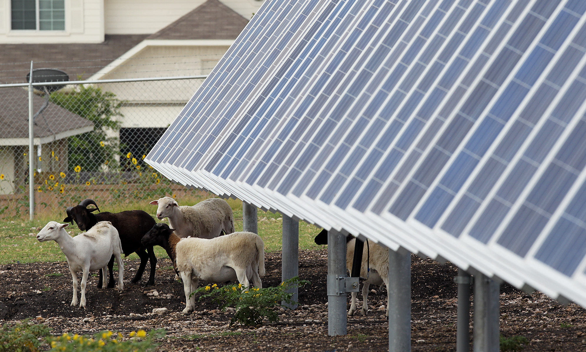 Low tech at high-tech site