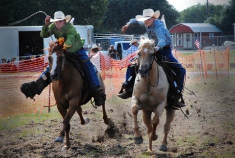 Fastest horse in Texas races will take place on Saturday
