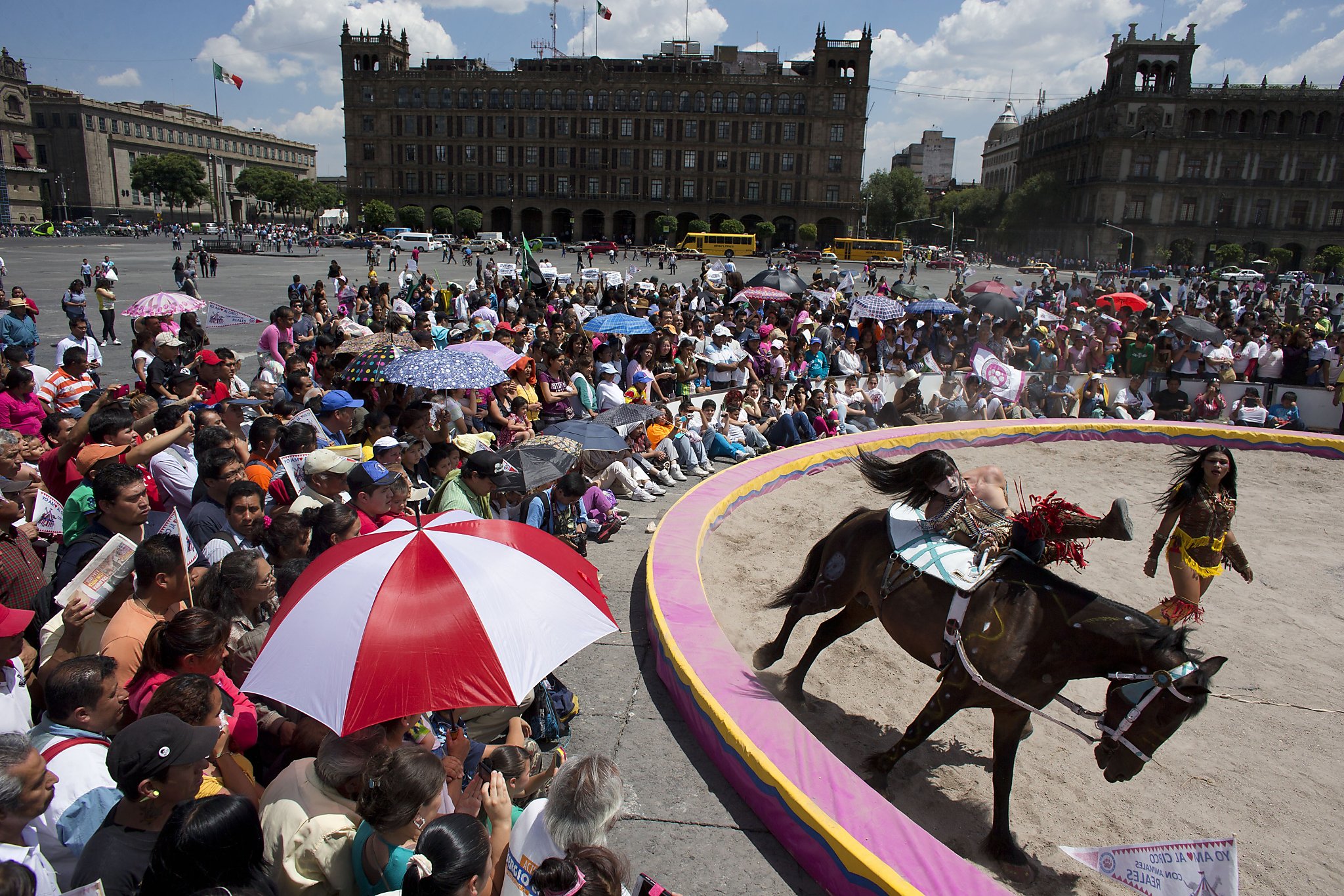 Spat over Mexican circus animals