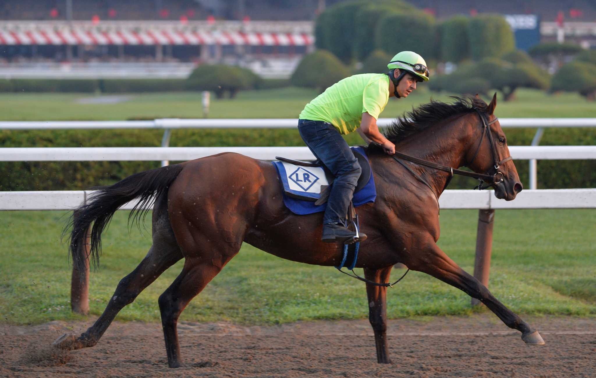 Jim Dandy field familiar