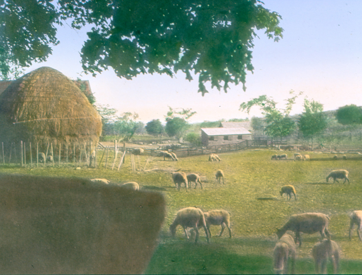 'Museum After Dark' program a networking dream