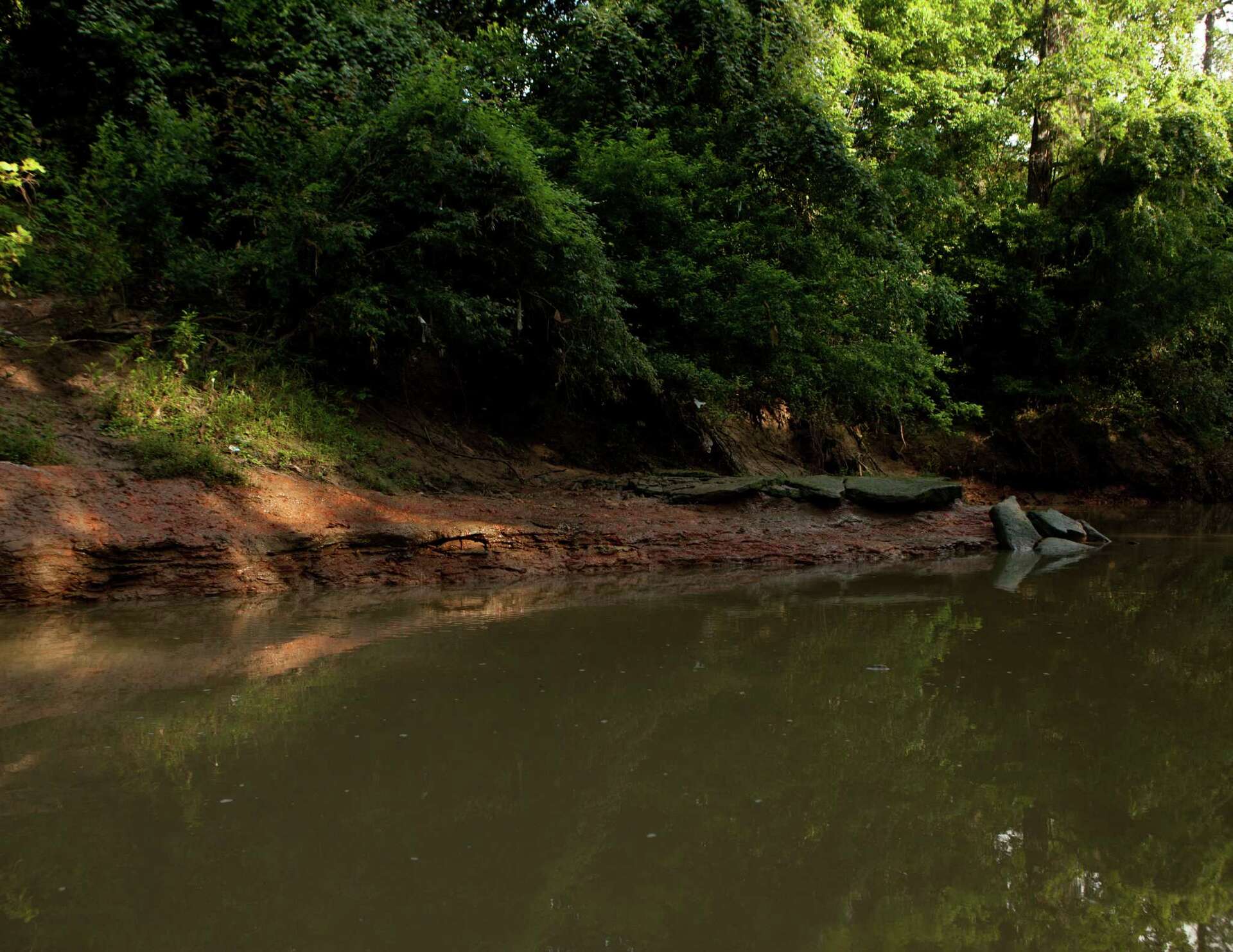 The bayou banks we could lose