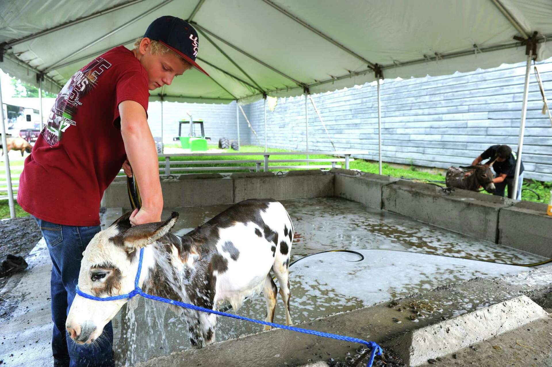 Photos: Sunshine Fair