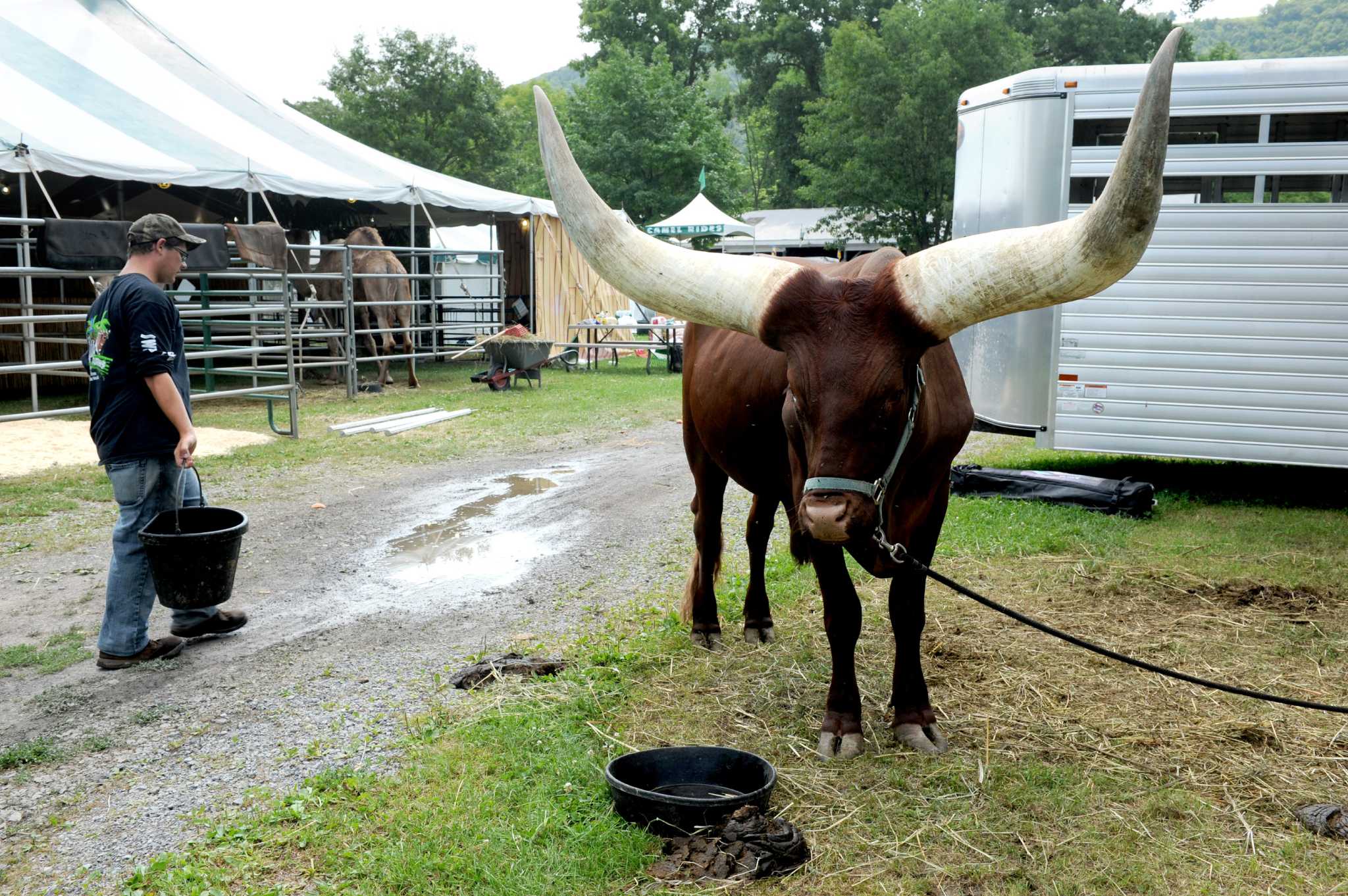 Photos: Sunshine Fair