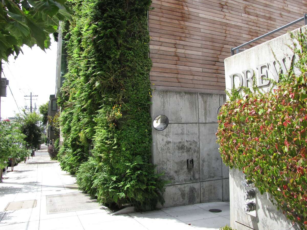 A massive green wall brings nature to city
