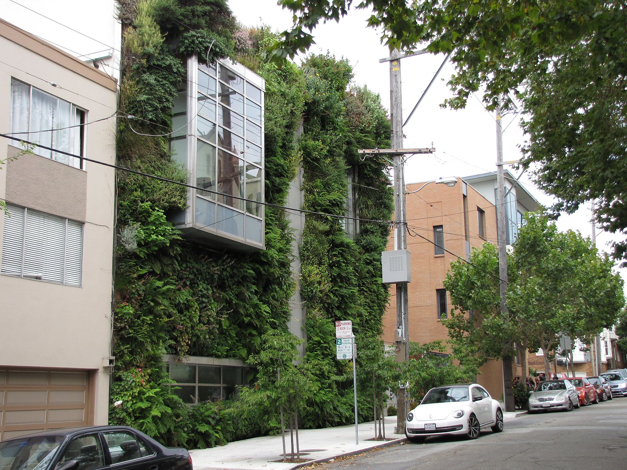 A massive green wall brings nature to city