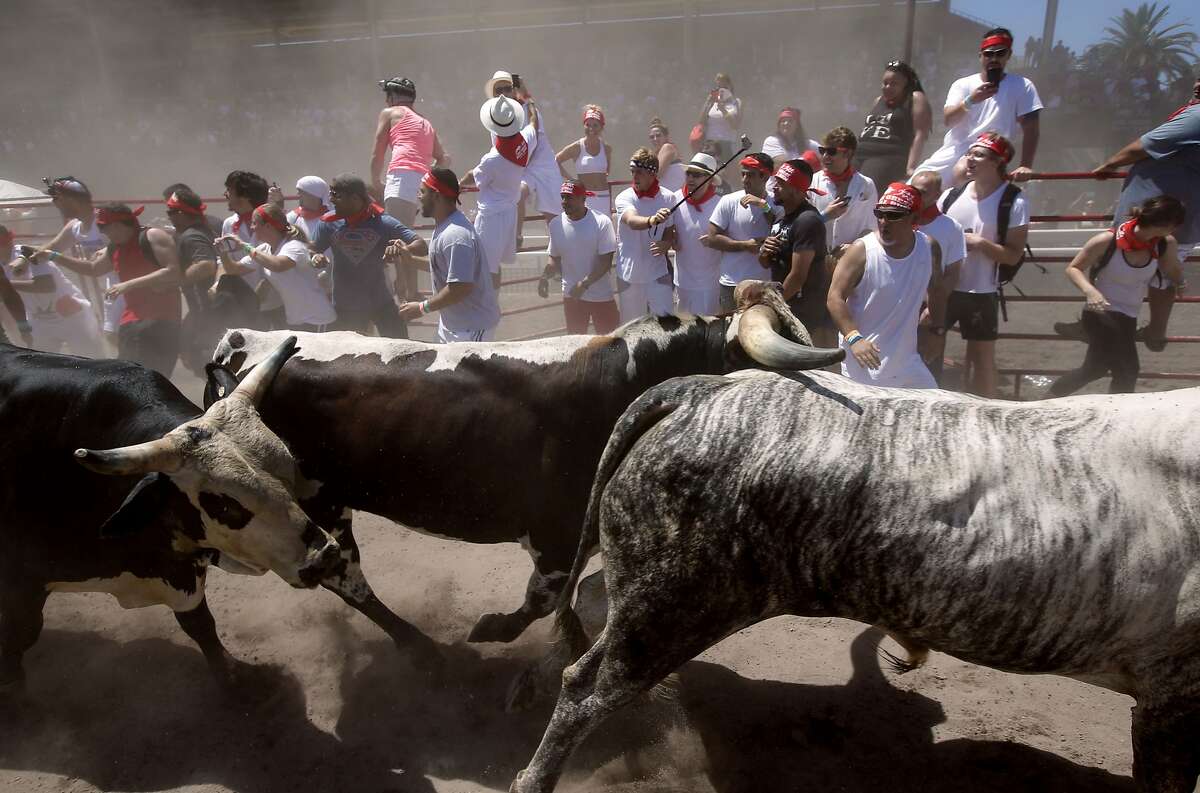 Pleasanton: Thrill seekers stampede to run with bulls
