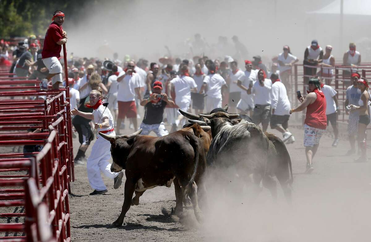 Pleasanton: Thrill seekers stampede to run with bulls