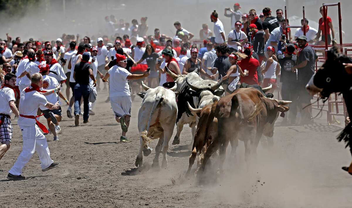 Pleasanton: Thrill seekers stampede to run with bulls