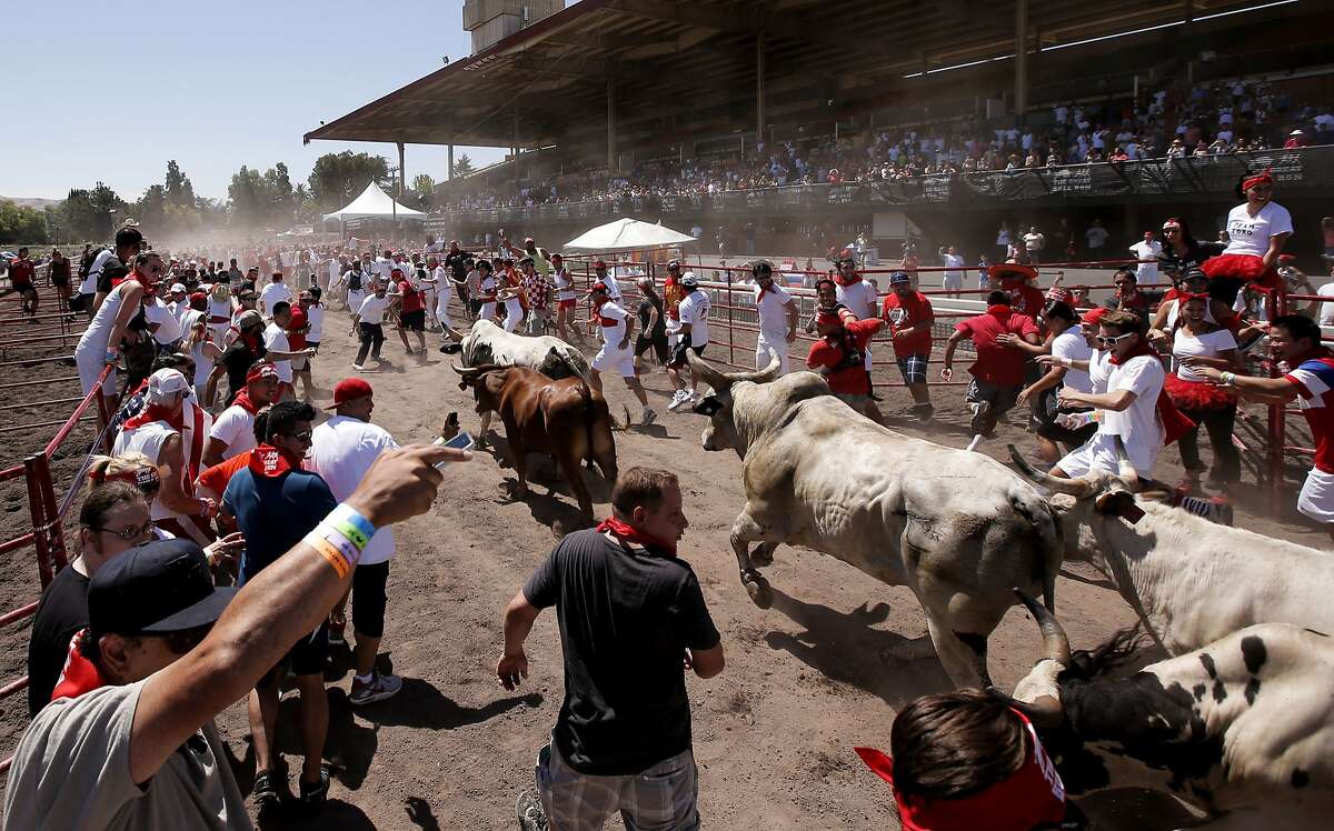 Pleasanton: Thrill seekers stampede to run with bulls