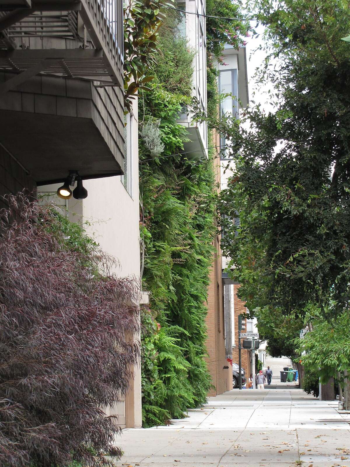 A massive green wall brings nature to city