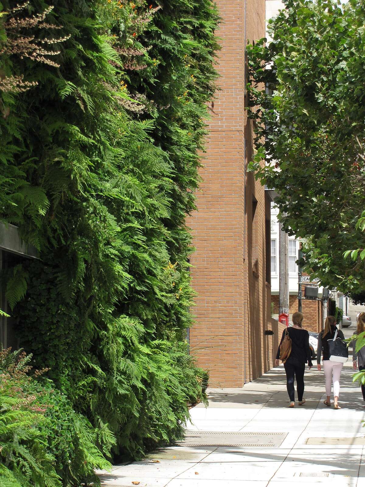 A massive green wall brings nature to city