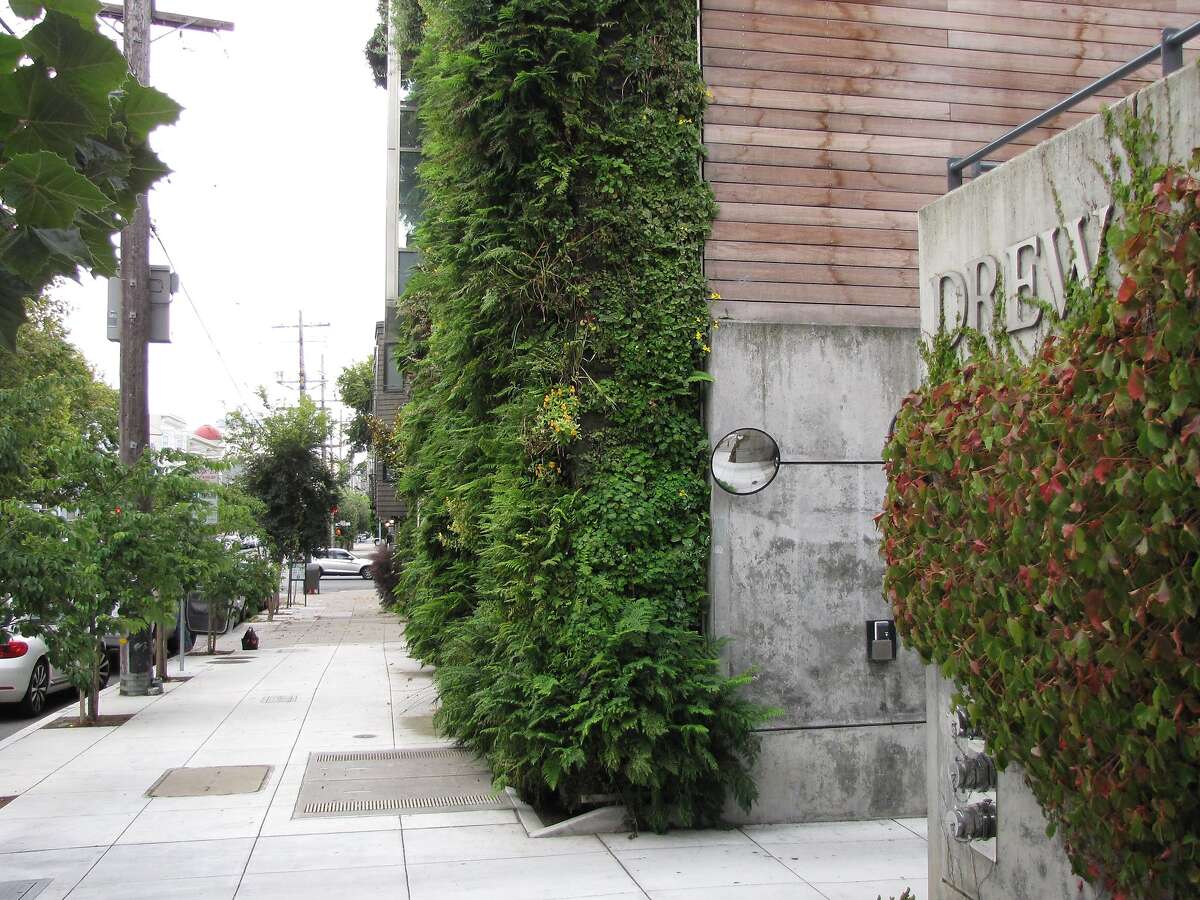 A massive green wall brings nature to city