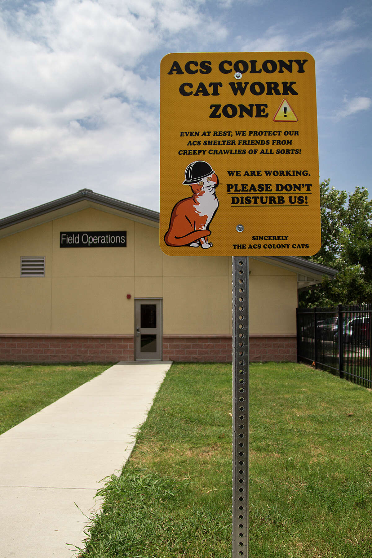 Feral cats getting second lease on life