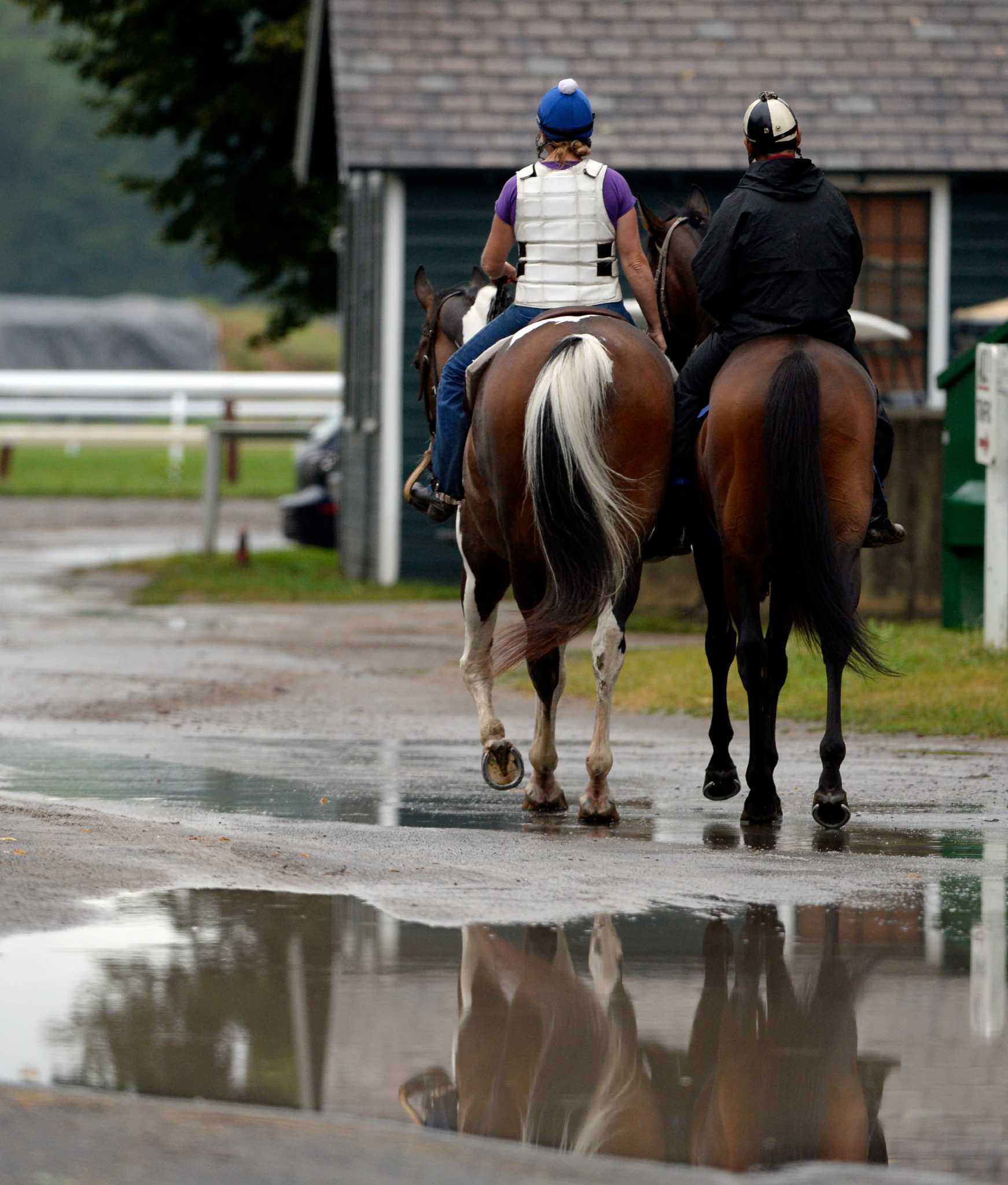 Pletcher confident in star