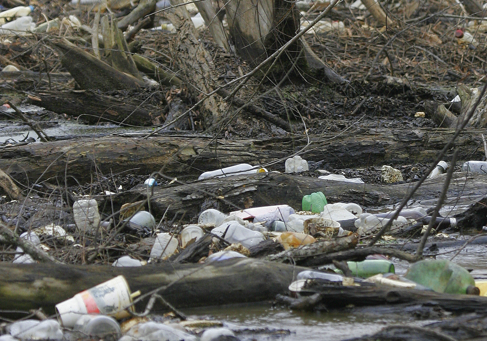 Psychology of litter in the great outdoors: Things have to pick up