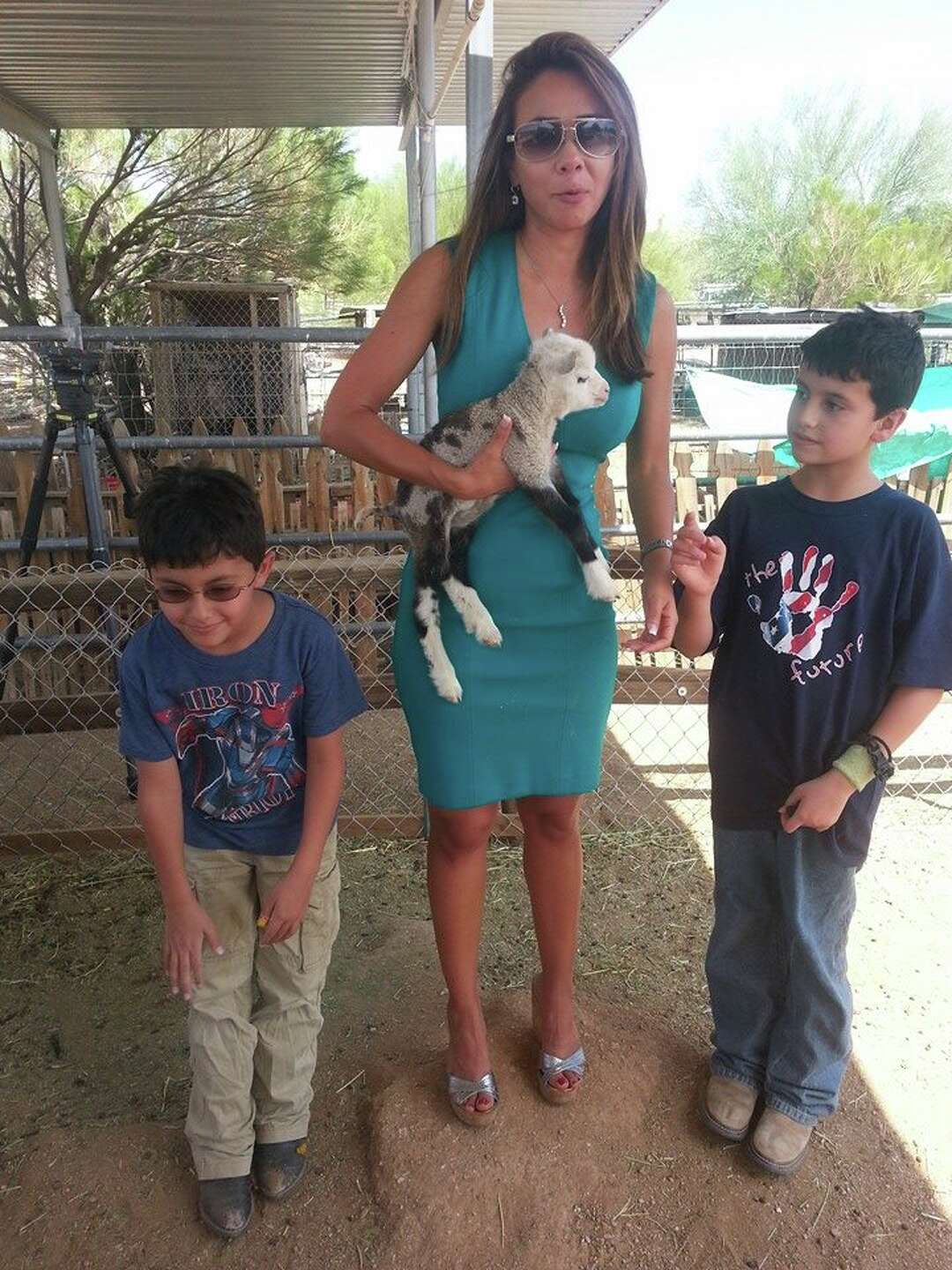 Rare 'geep,' from sheep, goat pairing, born in Arizona