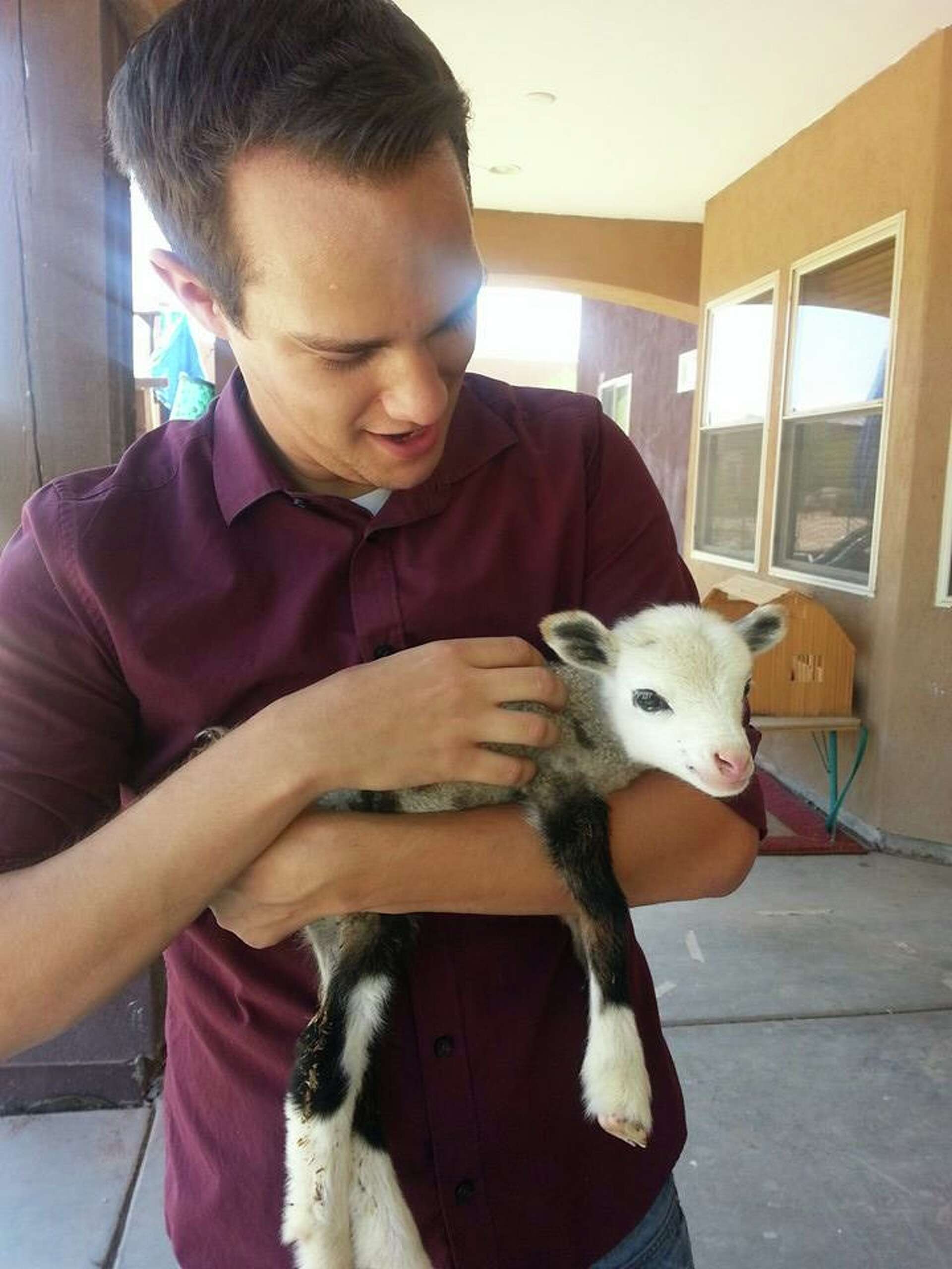 Rare 'geep,' from sheep, goat pairing, born in Arizona