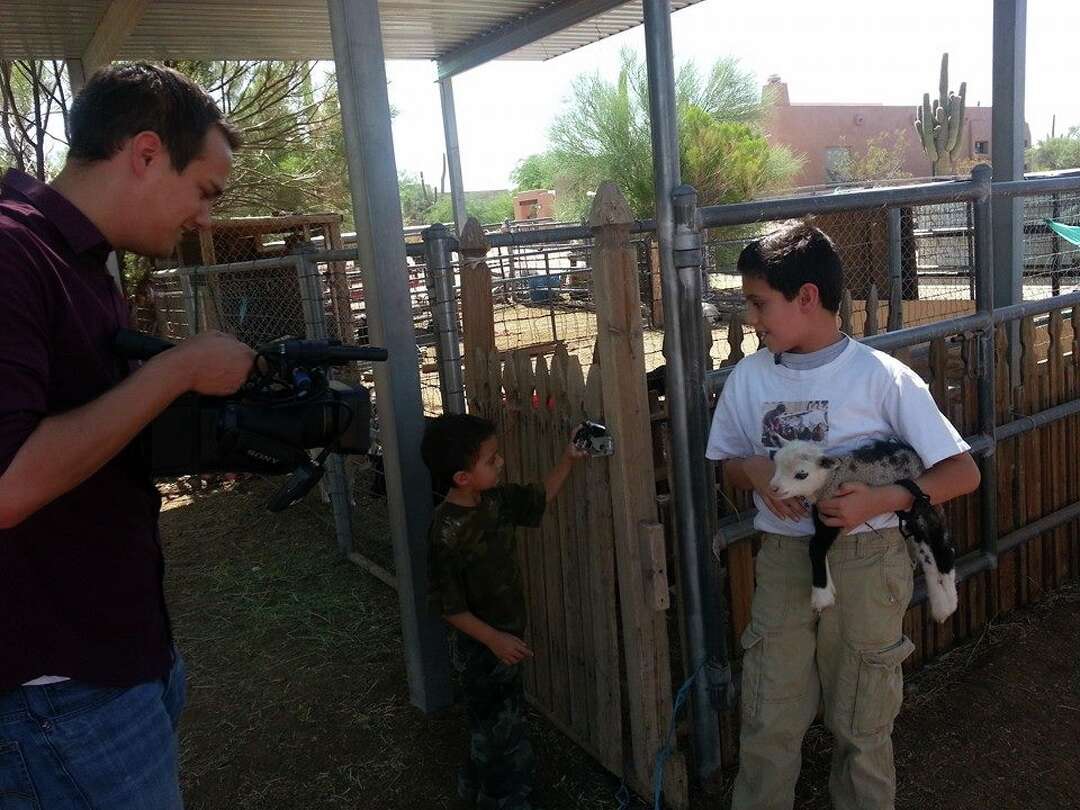 Rare 'geep,' from sheep, goat pairing, born in Arizona