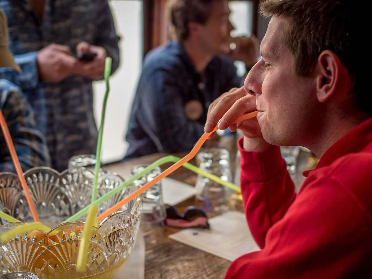 Drink Up: Palm House