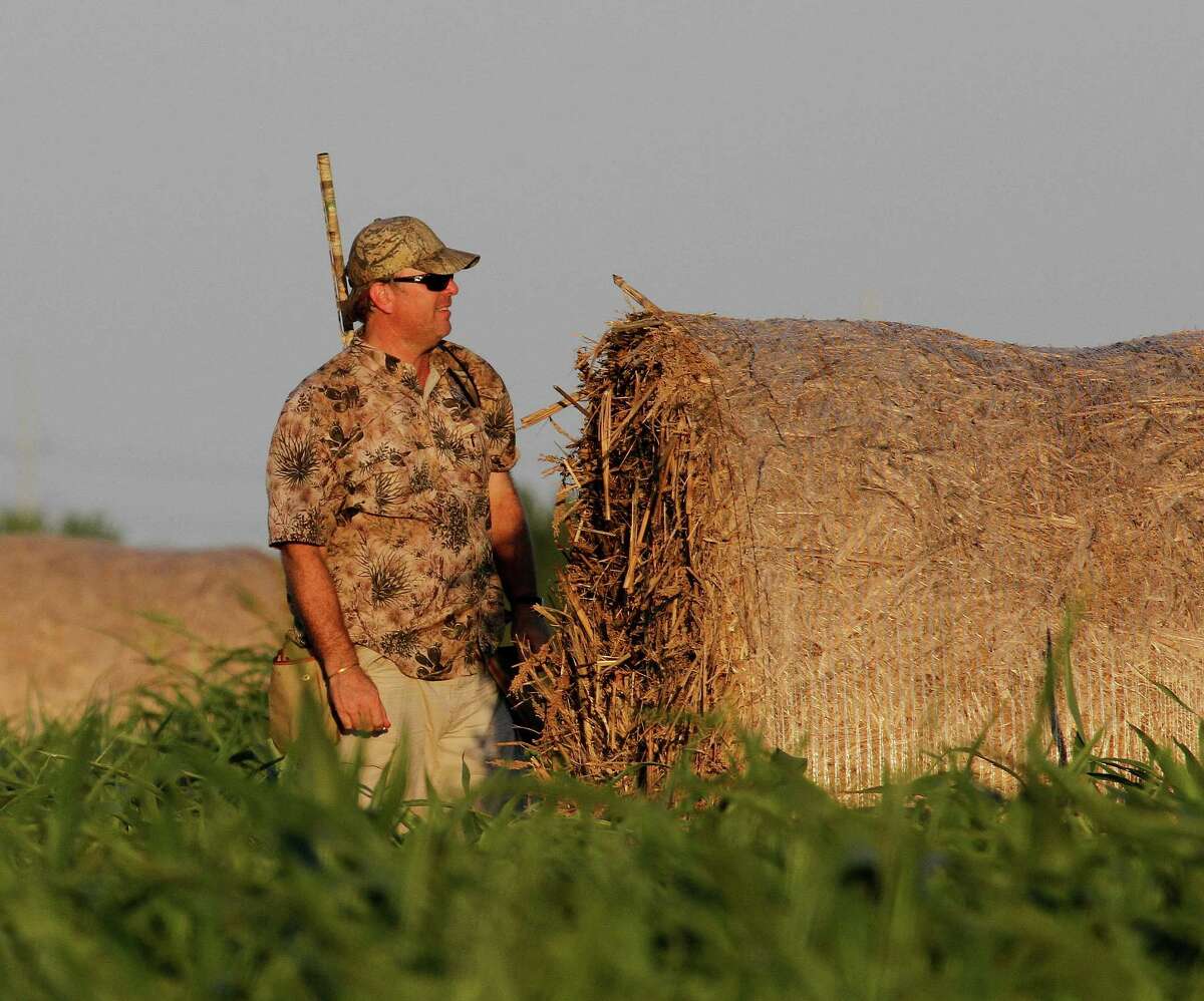 Dove season shaping up nicely, but hunters must come prepared