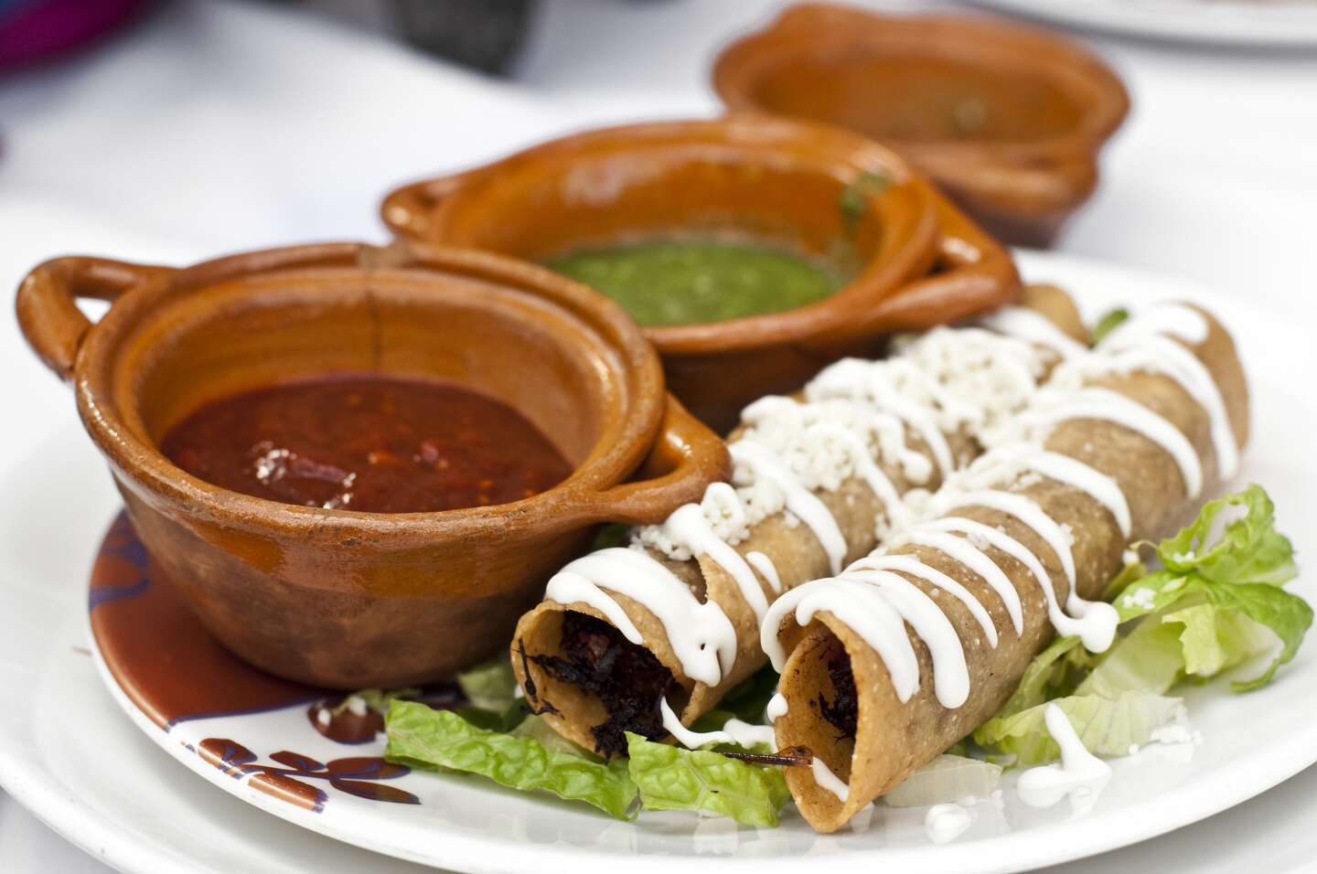 Texas taco expert makes the case for tacos as the official dish of Texas