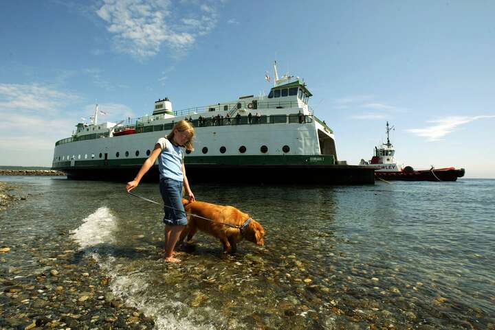 Seattle's top dog names - and assorted awesome ones