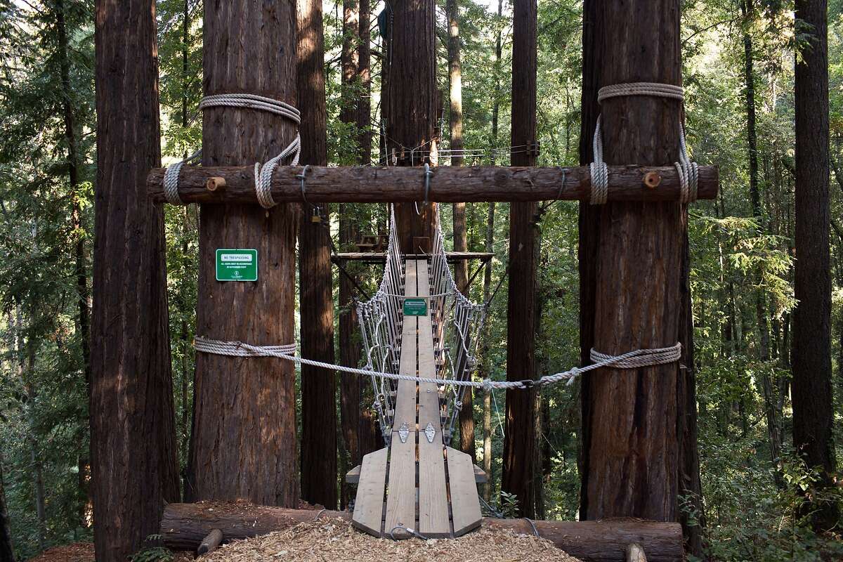 Flying in the forest