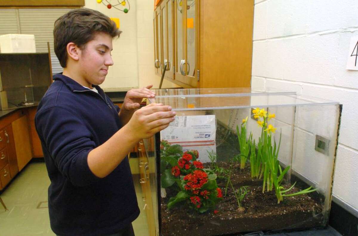 Teens use world news to inspire creativity