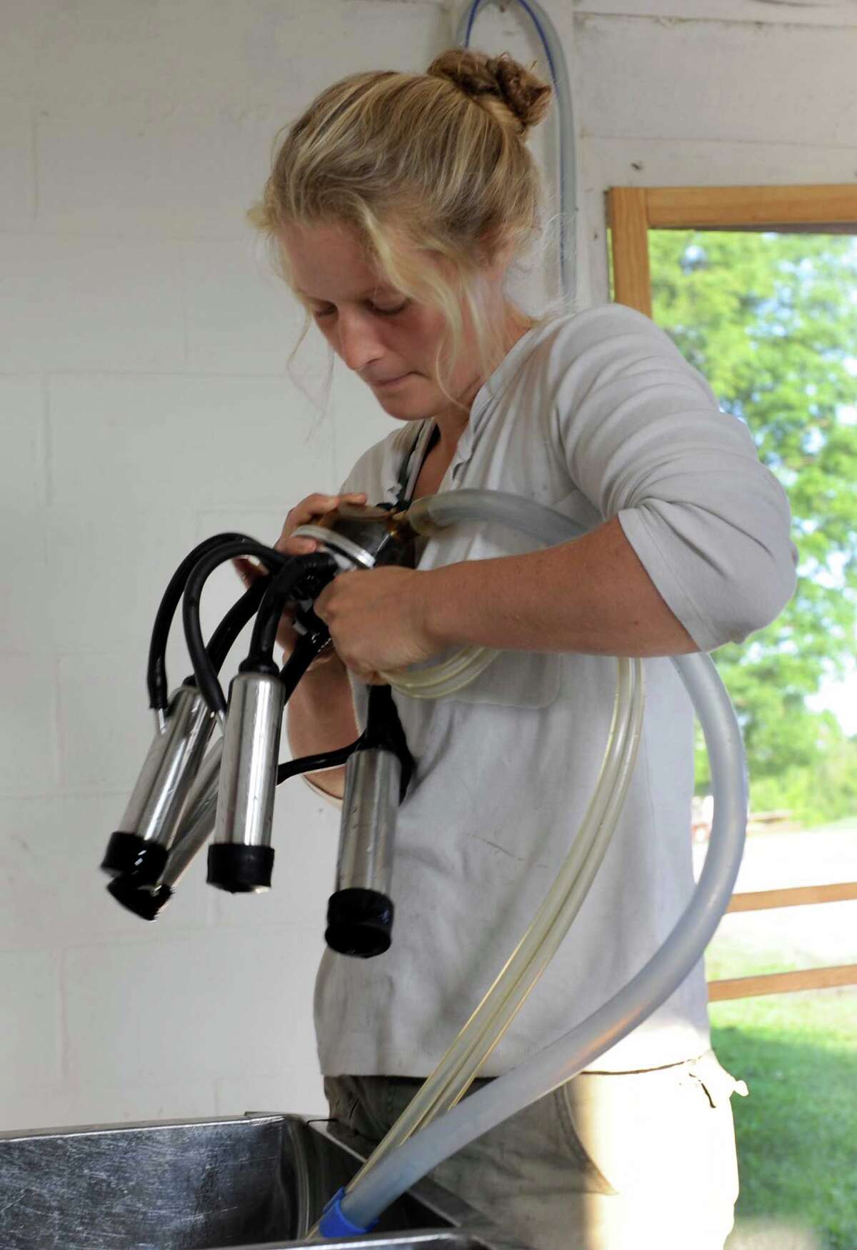 Young farmer cares for cows and crops